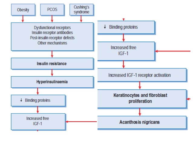 Polycystic Ovarian Syndrome (PCOS) by Dr. Aryan | PPTX | Hormonal ...