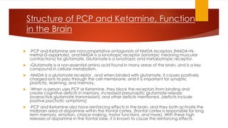 Pcp and ketamine | PPTX