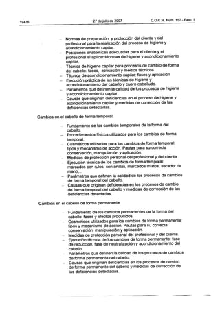 Pcpi peluqueria | PDF