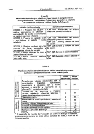 Pcpi peluqueria | PDF