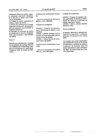 Pcpi peluqueria | PDF