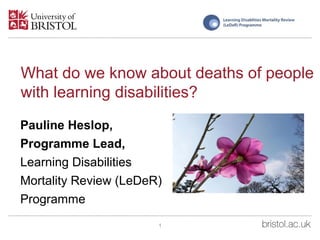 Learning Disabilities Mortality Review Program Improves Care | PPT