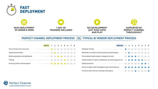 Perfect Insight | PPTX