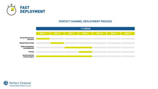 Perfect Insight | PPTX