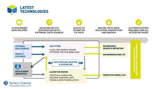 Perfect Insight | PPTX