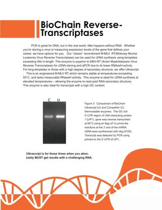 Biochain PCR Products | PPT