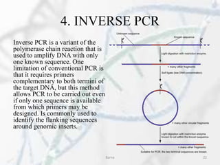 Pcr | PPT