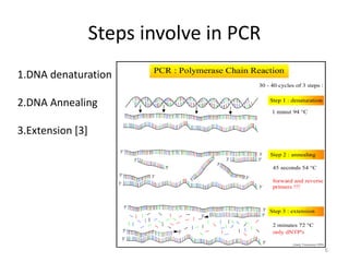 Pcr. ppt | PPT