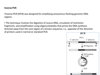 Pcr | PPTX
