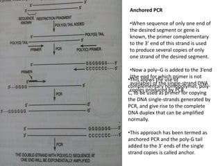 Pcr | PPTX
