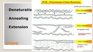 Pcr | PPTX