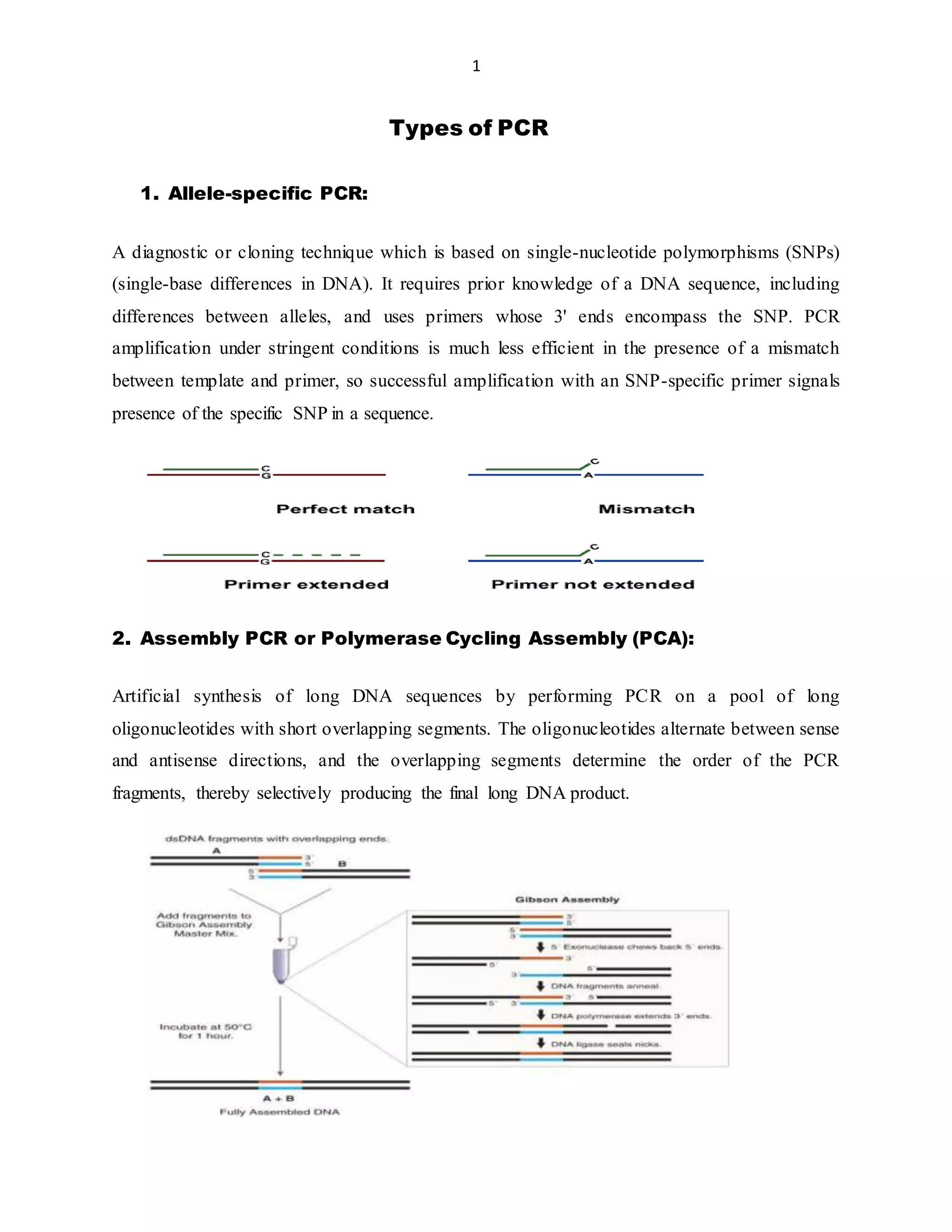 Different types of PCR | DOCX | Chemistry | Science