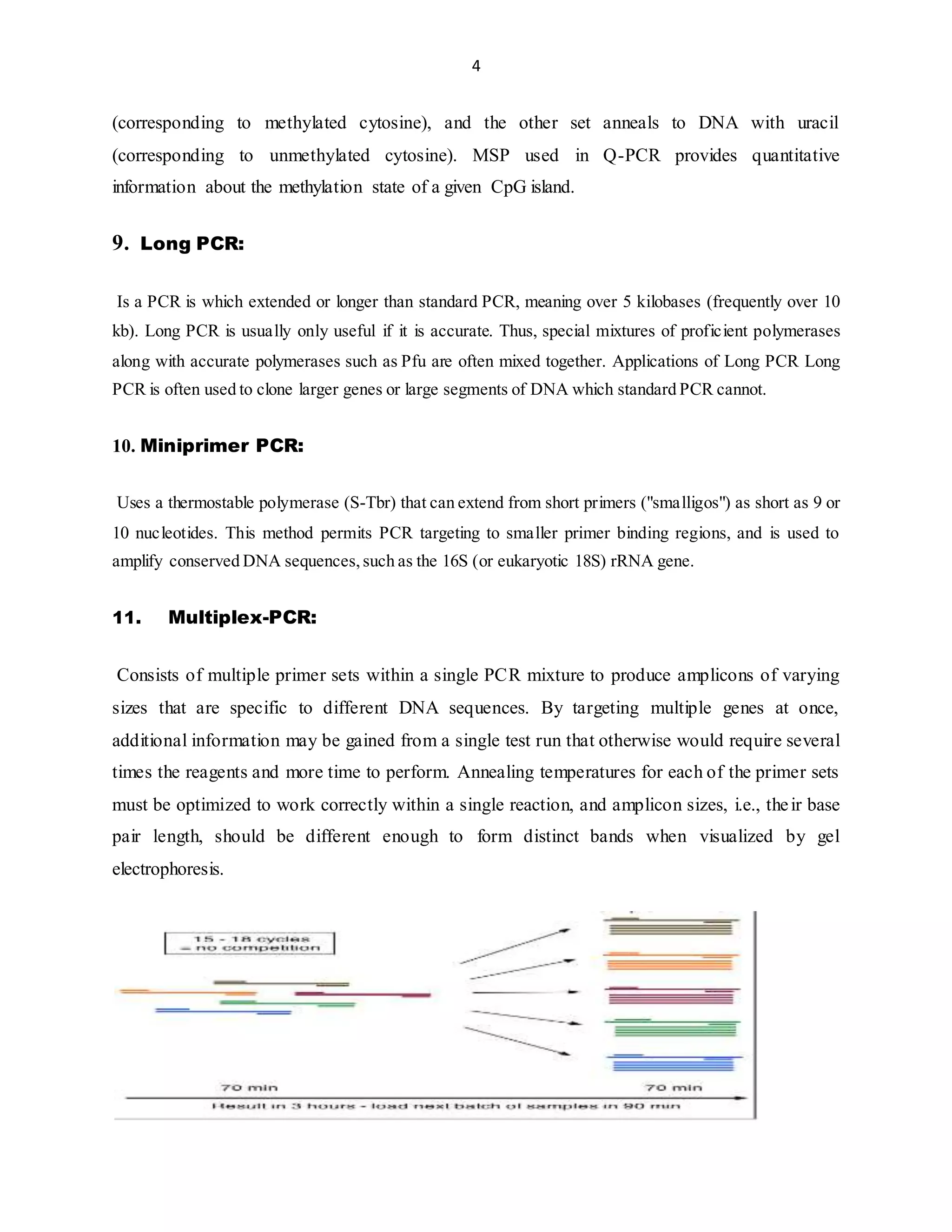 Different types of PCR | DOCX | Chemistry | Science