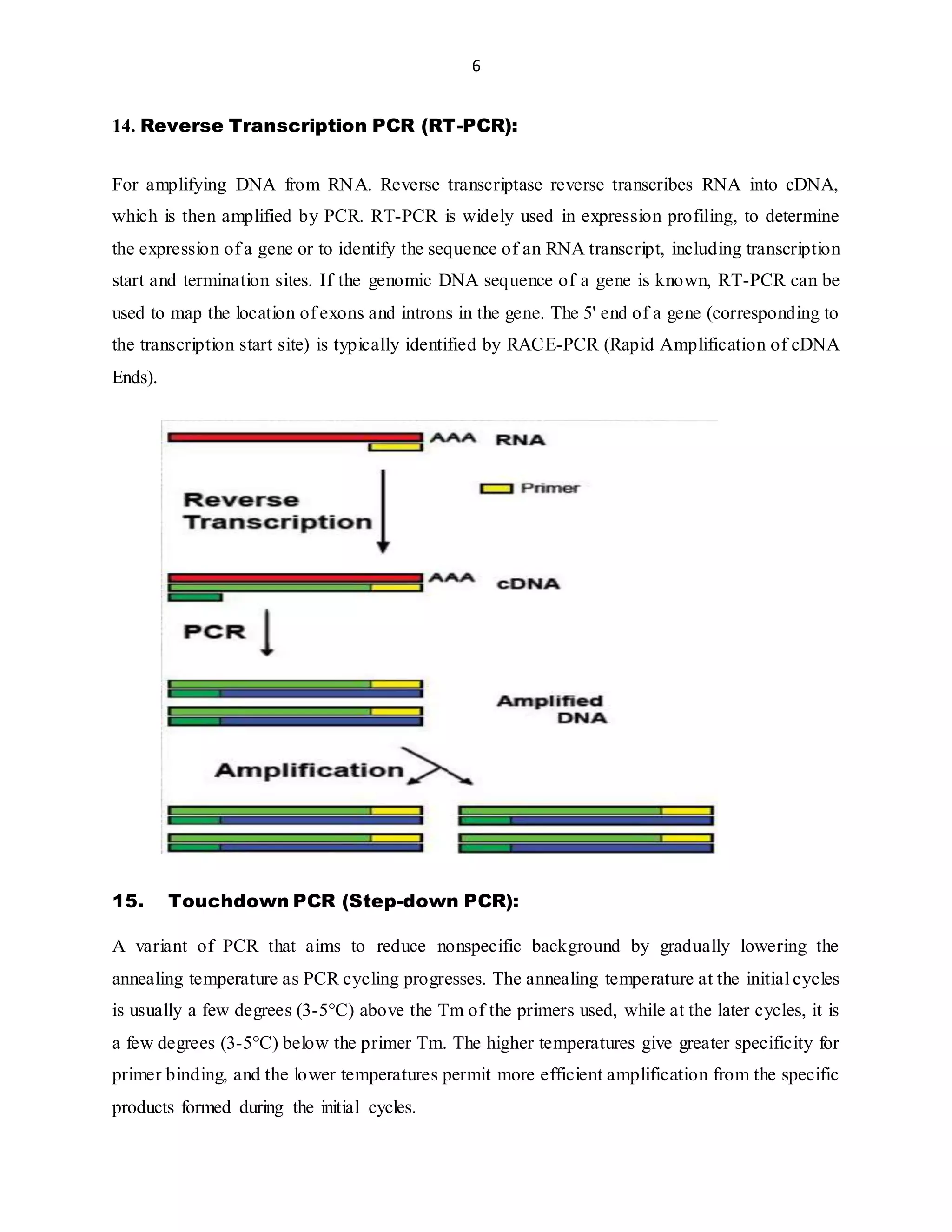 Different types of PCR | DOCX | Chemistry | Science