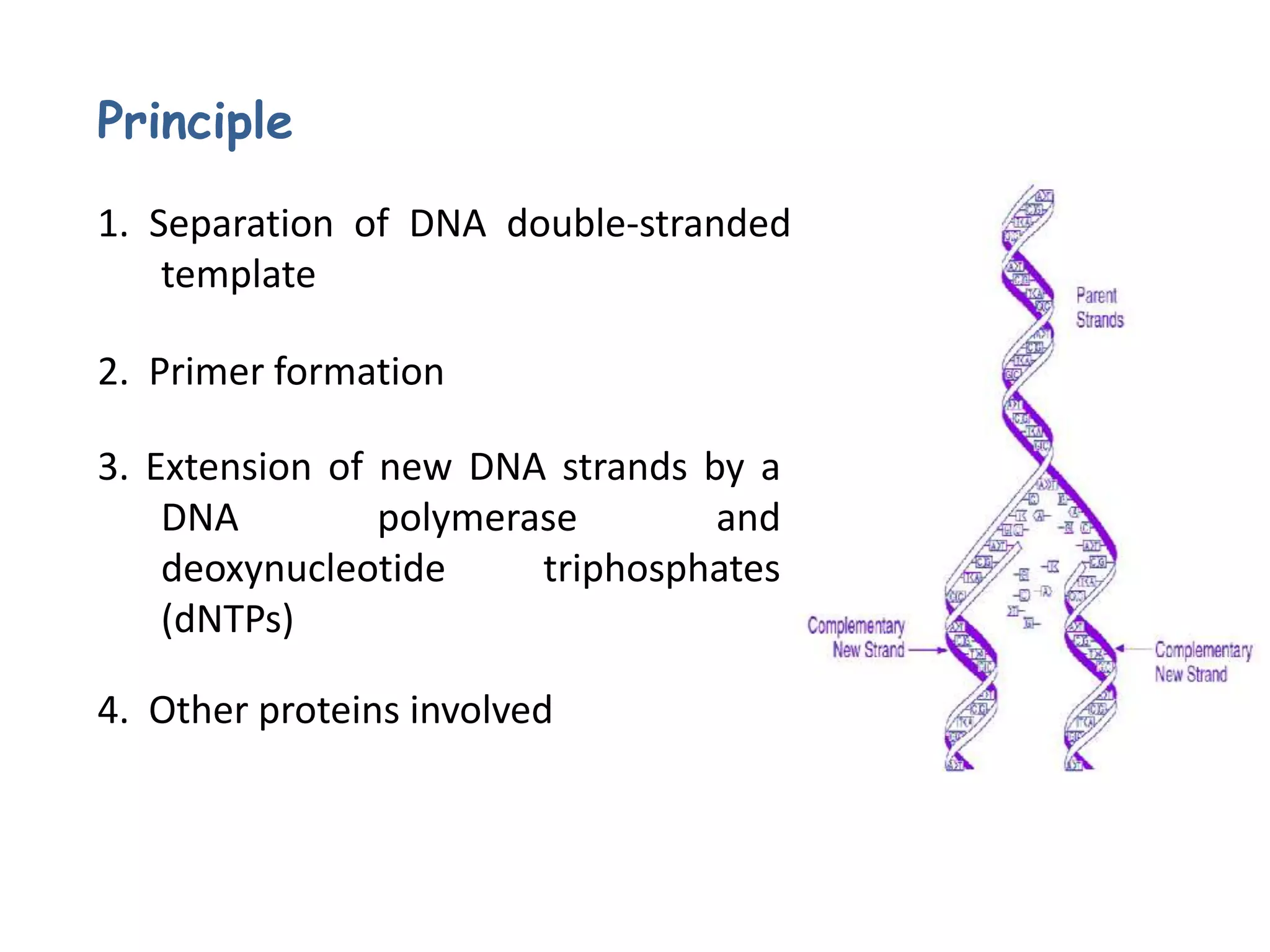Polymerase Chain Reaction | PPTX