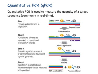 Polymerase Chain Reaction | PPTX