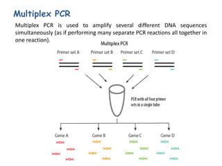 Polymerase Chain Reaction | PPTX