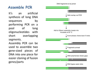 Polymerase Chain Reaction | PPTX