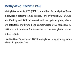 Polymerase Chain Reaction | PPTX