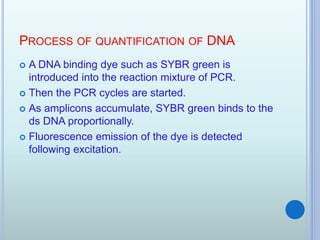 Polymerase Chain Reaction | PPTX