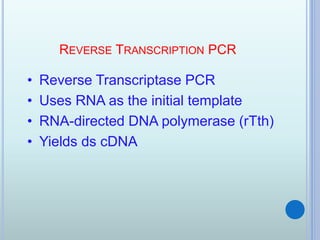 Chain Transcription Reaction Reverse Polymerase Wuencher