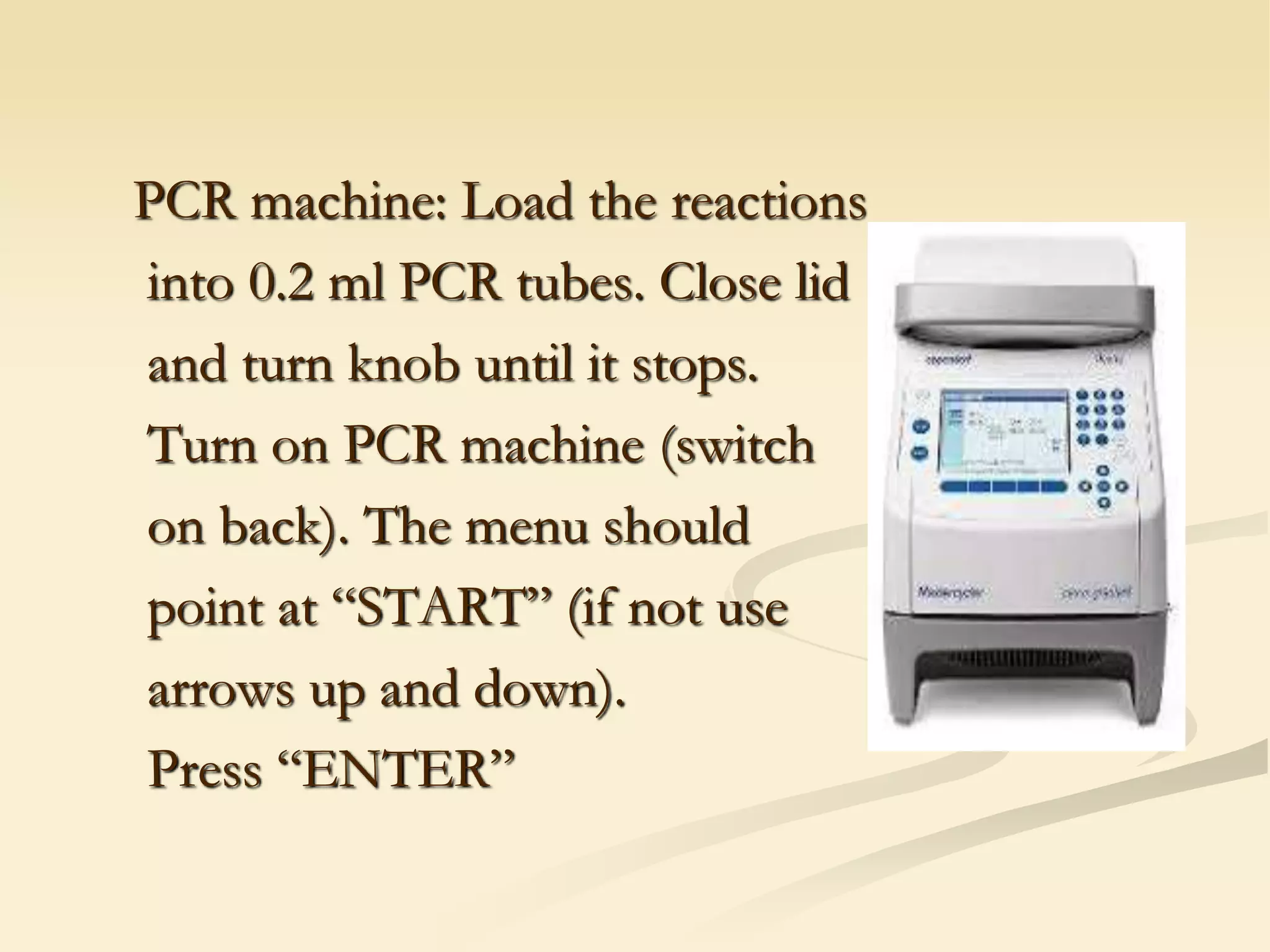 PCR | PPTX