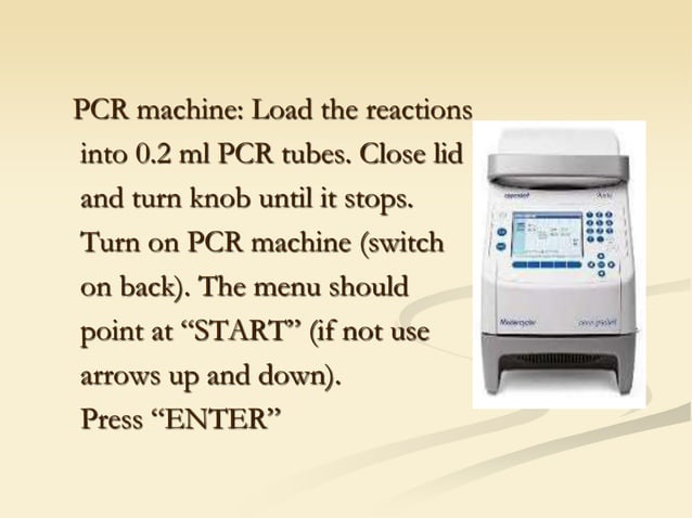 PCR | PPTX