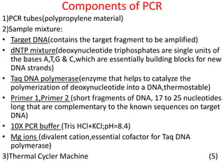 Polymerase Chain Reaction(PCR) | PPT