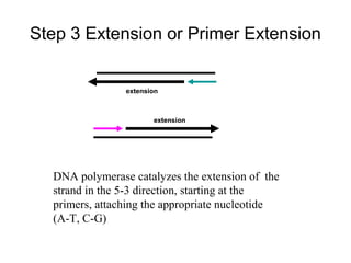 PCR | PPT