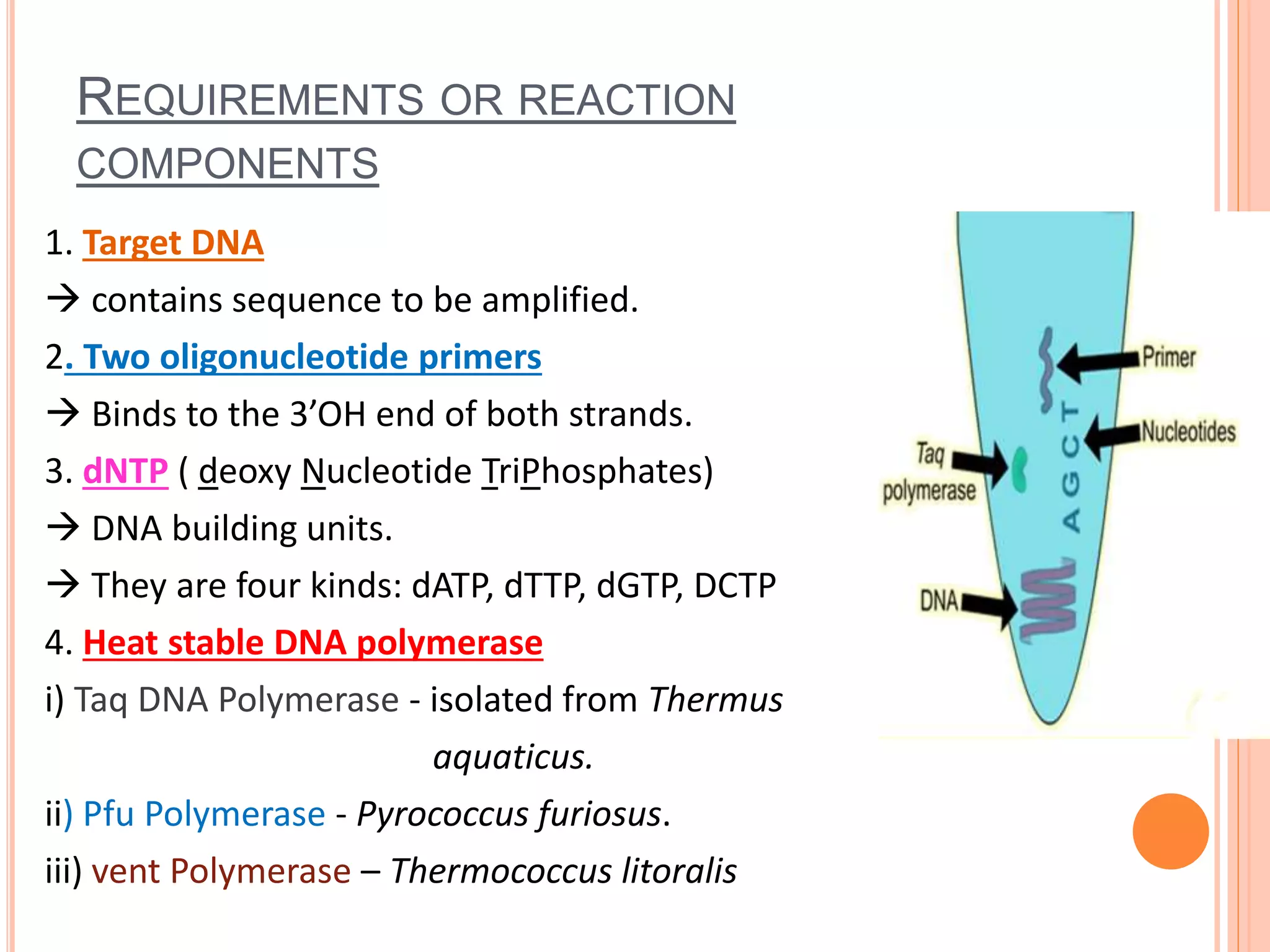 PCR- Steps;Applications and types of PCR (Exam point of view) | PPTX
