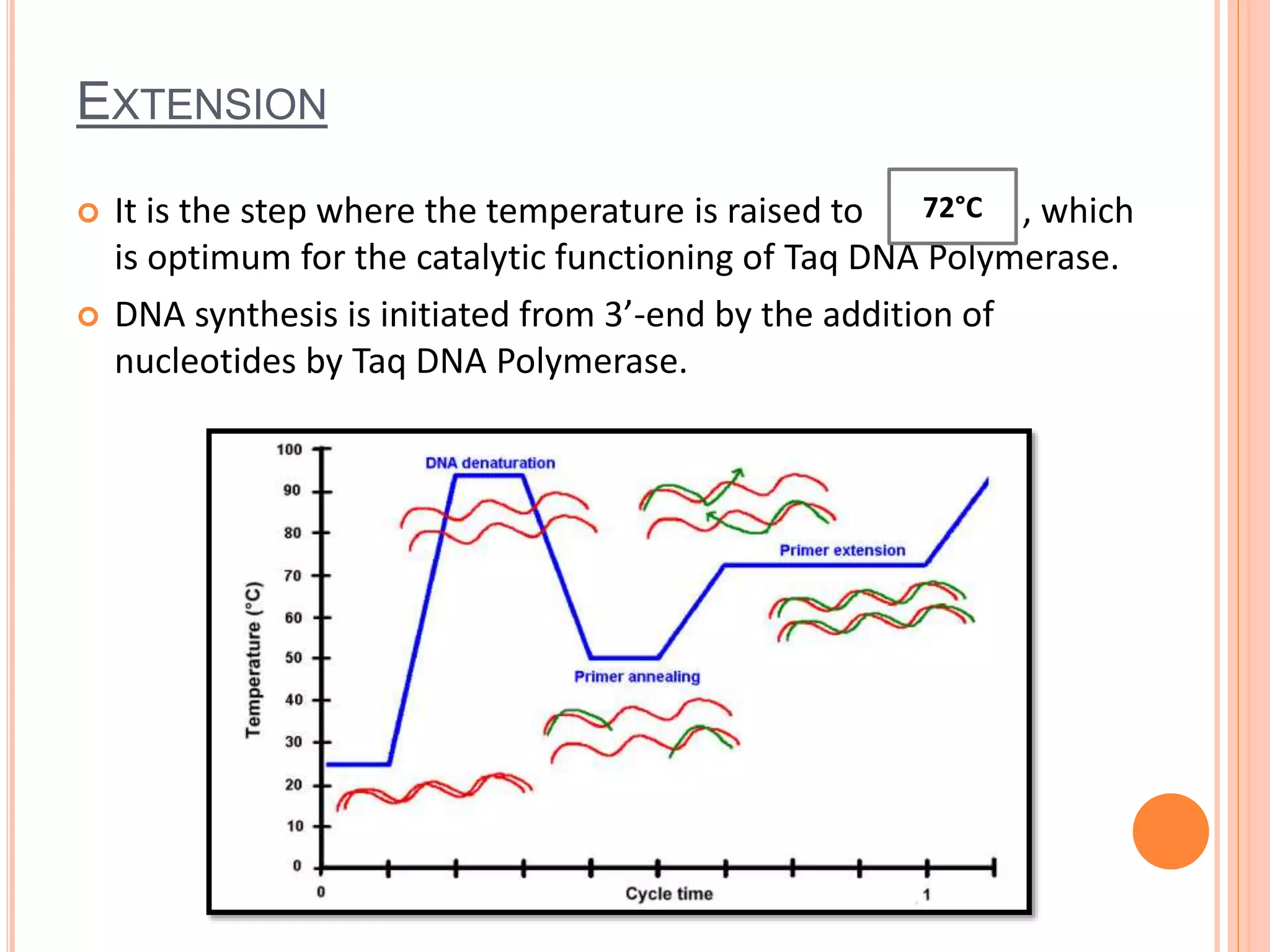 PCR- Steps;Applications and types of PCR (Exam point of view) | PPTX