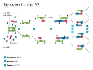 Polymerase chain reaction | PPT
