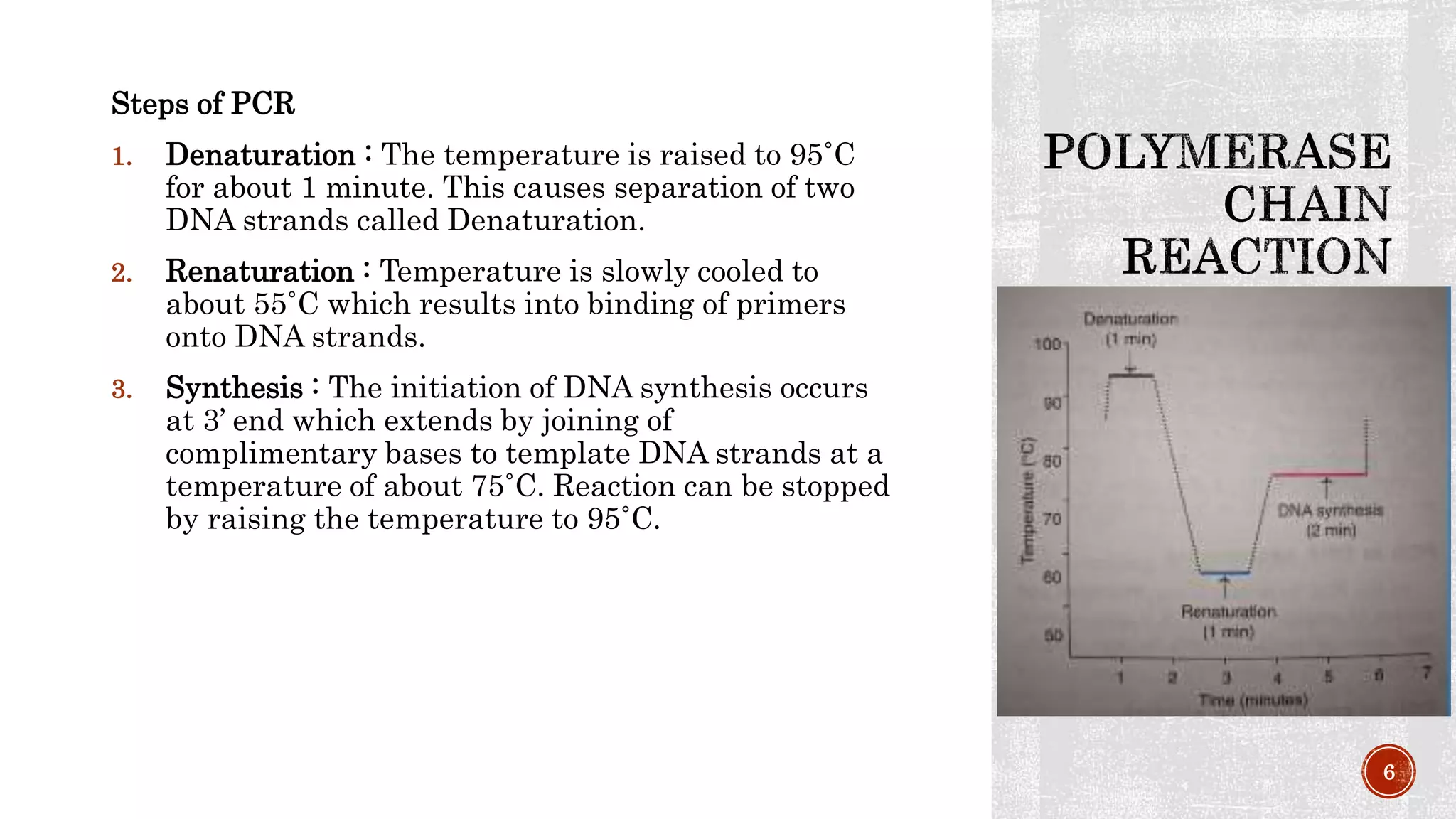 Polymerase Chain Reaction | PPTX