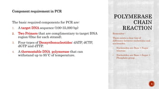 Polymerase Chain Reaction | PPTX