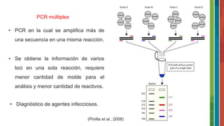 PCR | PPTX