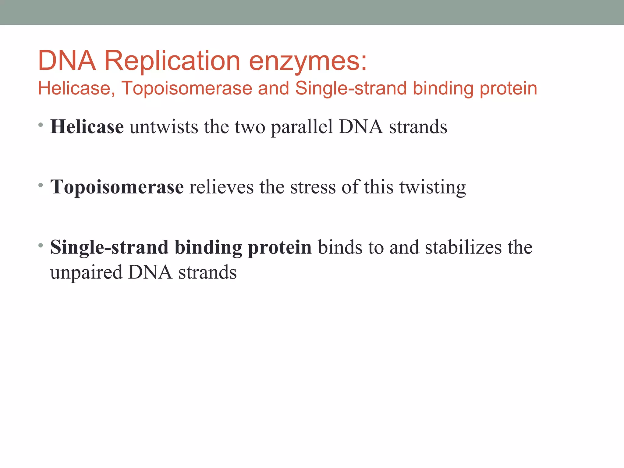 Polymerase Chain Reaction(PCR) | PPT