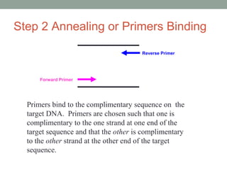 Polymerase Chain Reaction(PCR) | PPT