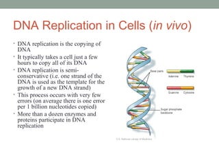 Polymerase Chain Reaction(PCR) | PPT