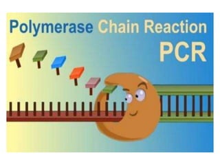 PCR | PPTX