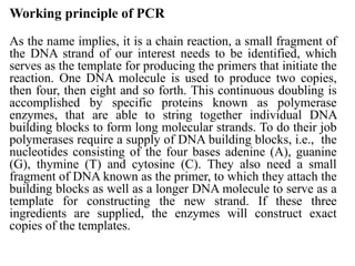 PCR | PPTX