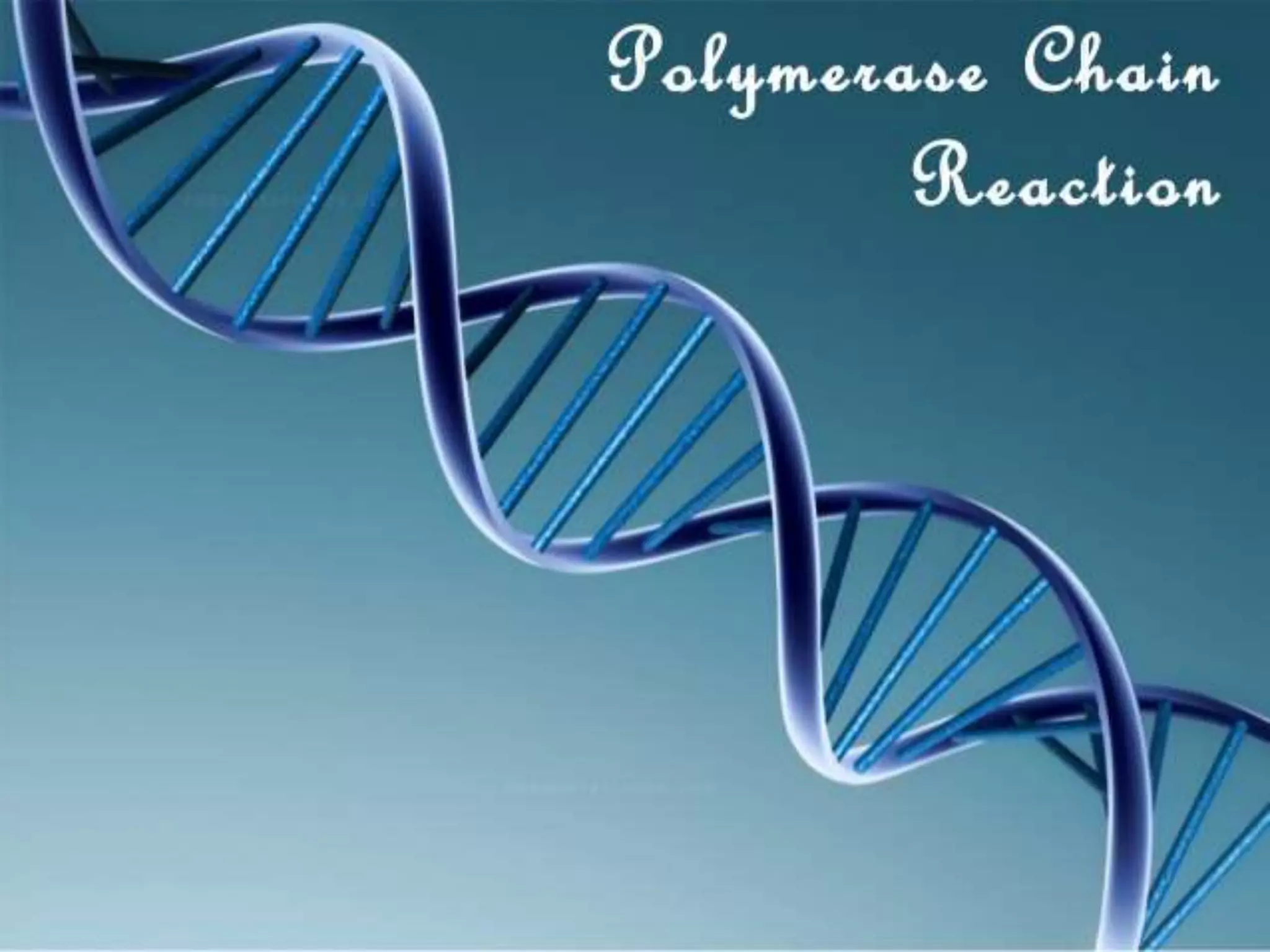 Polymerase cHain reaction procedure and application | PPTX