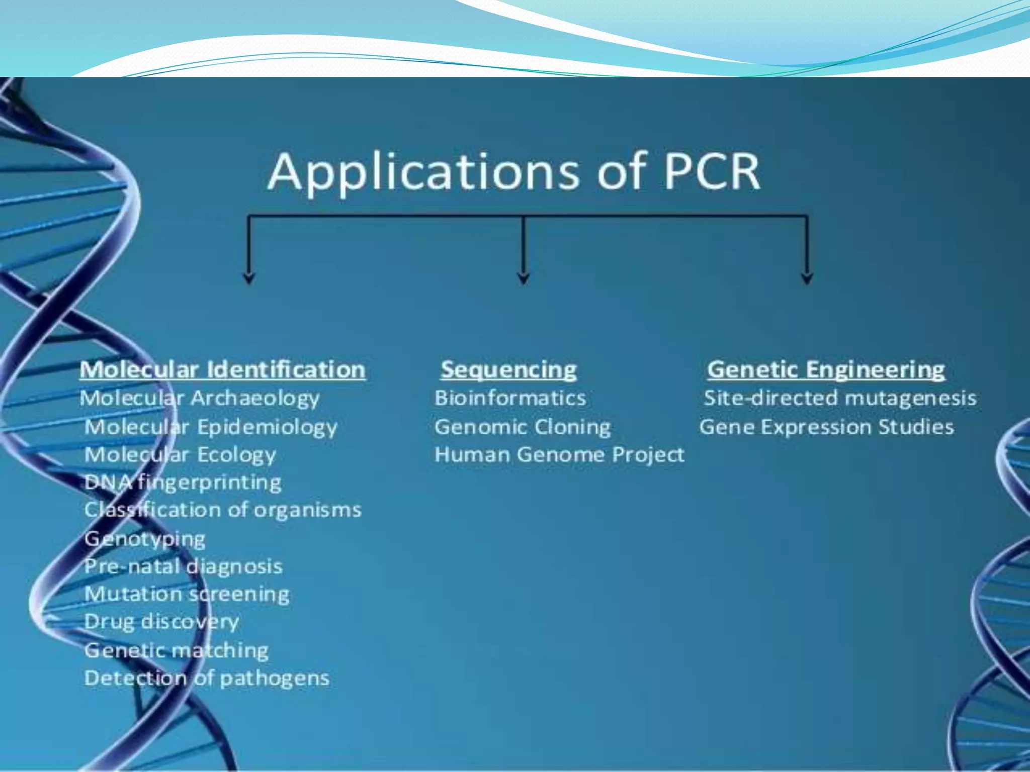 Polymerase cHain reaction procedure and application | PPTX