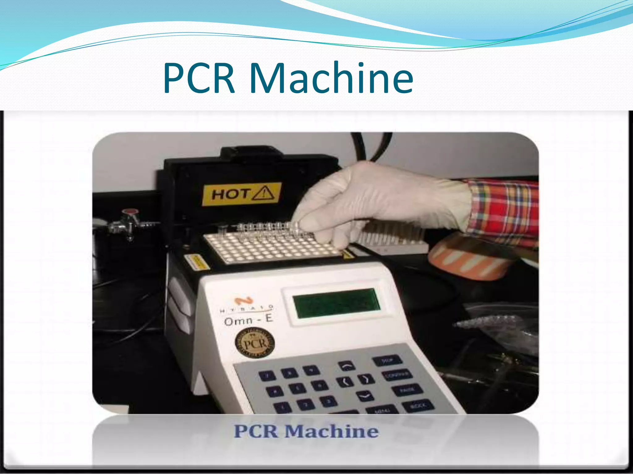 Polymerase cHain reaction procedure and application | PPTX