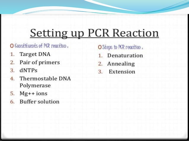 Polymerase cHain reaction procedure and application | PPTX