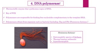PCR techenology in fisheries | PPTX