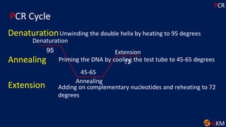 Polymerase Chain Reaction, PCR | PPT