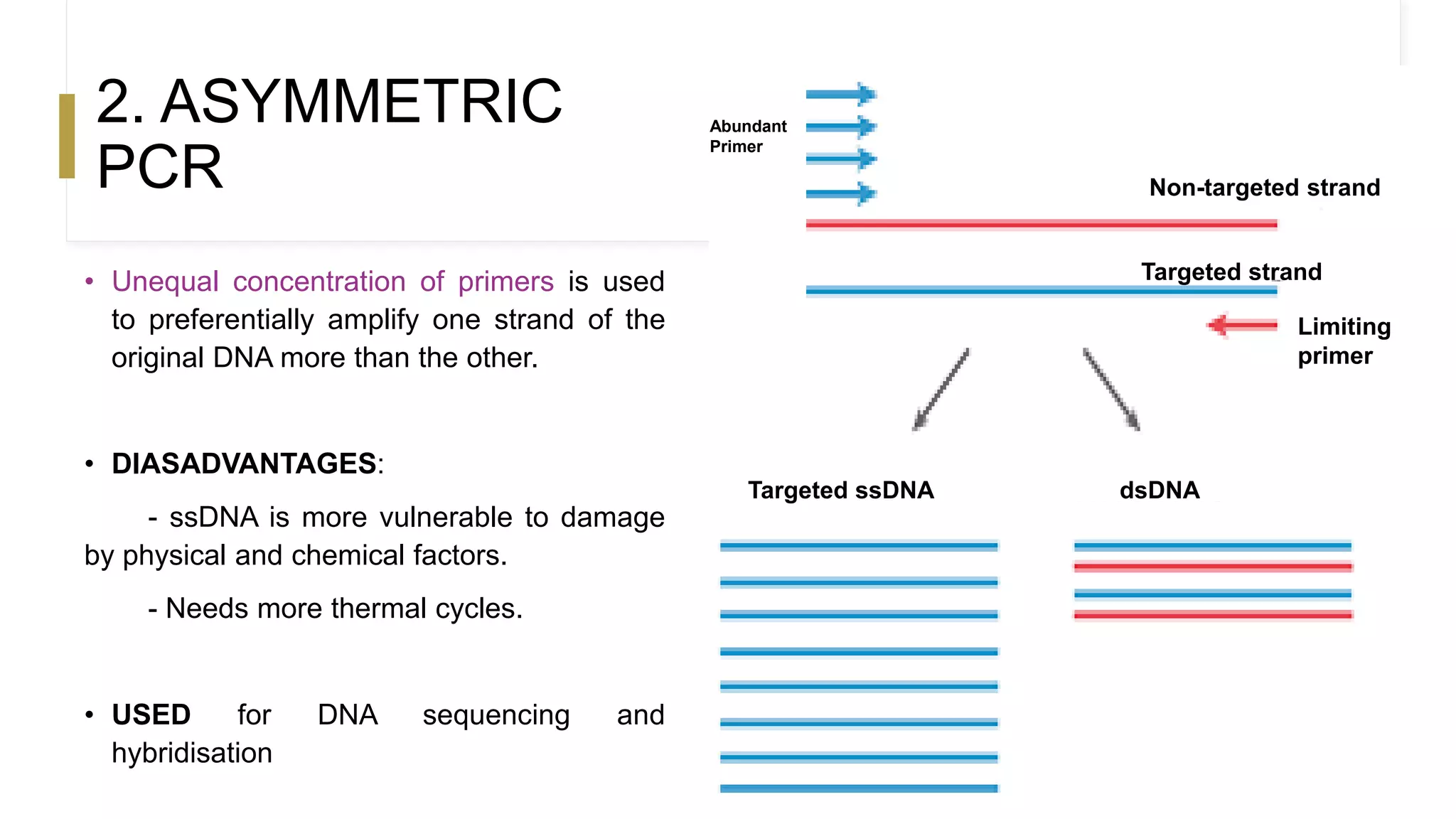 Pcr | PPTX