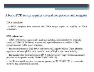 PCR and type of PCR | PDF