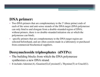 PCR and type of PCR | PDF