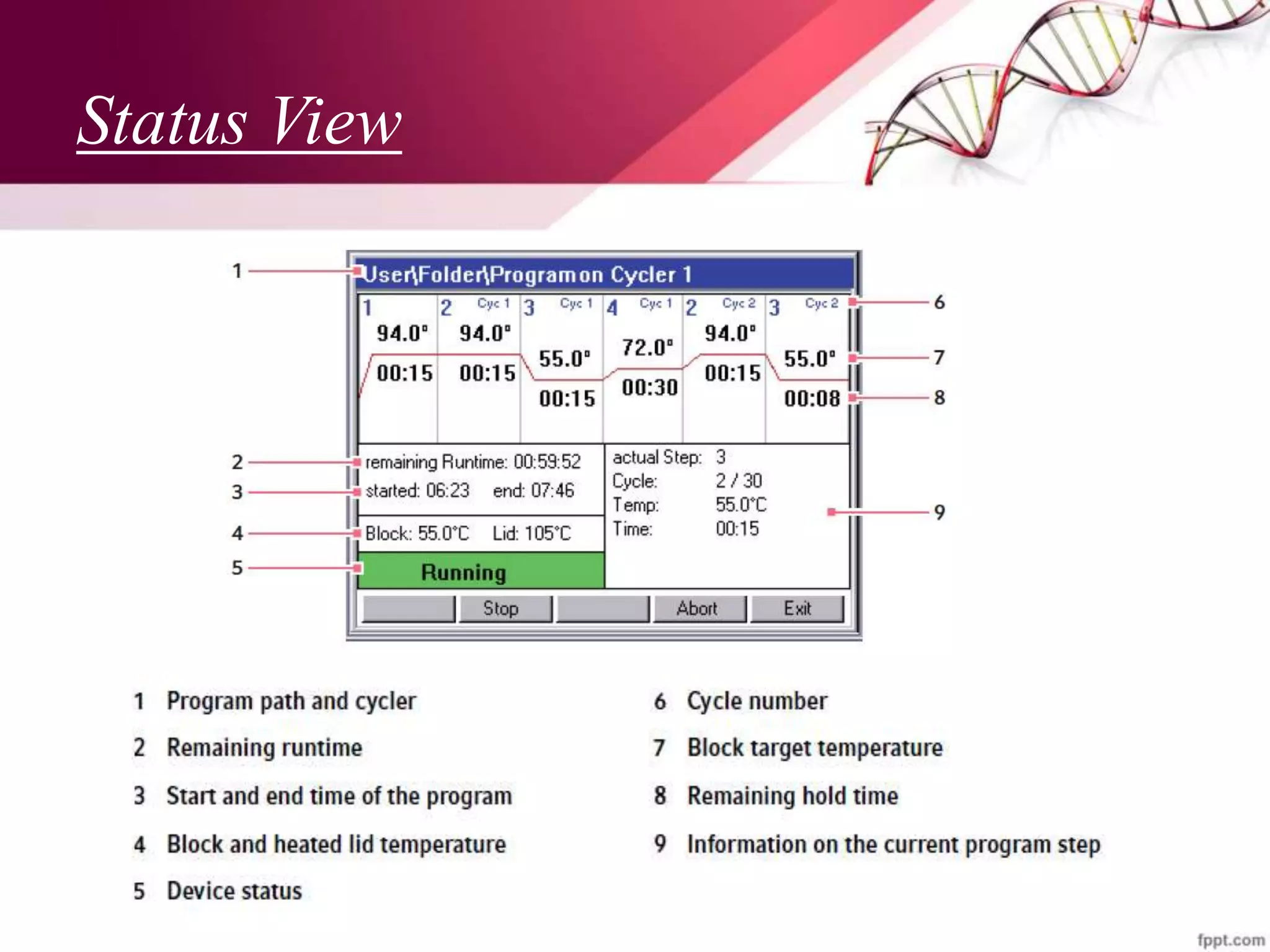 Polymerase Chain Reaction Ependorf Instrument | PPT
